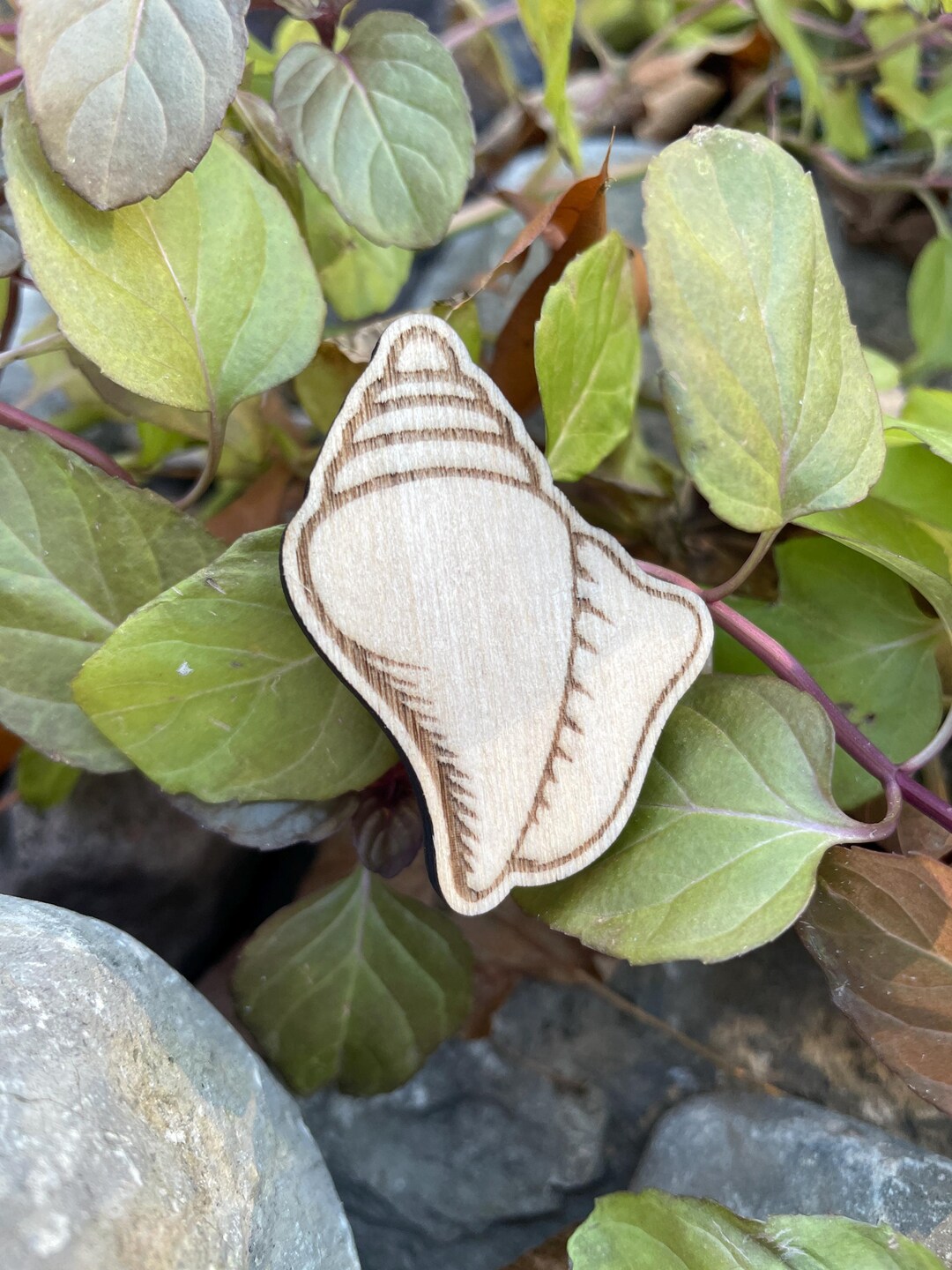 Engraved Wood Conch Shell Magnet: Beach House Fridge Decor - Etsy