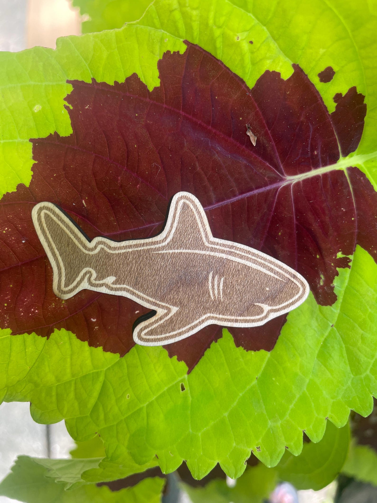 Engraved Wood Shark Magnet: Rustic Fridge Decor Gift - Etsy