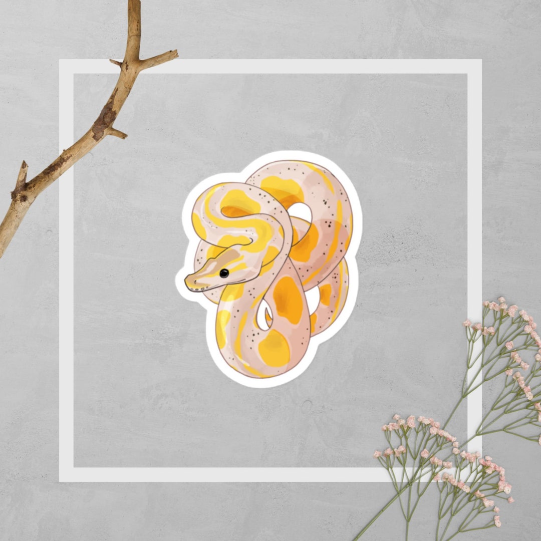 Albino Ball Python Sticker - Etsy