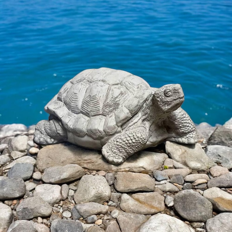 Large Turtle Box Statue, Massive Turtle Box Sculpture, Detailed ...