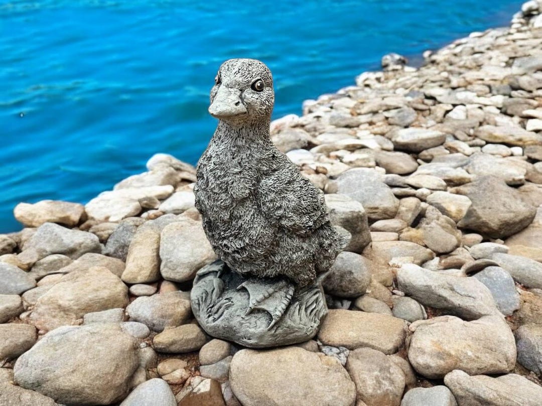 Concrete Duck Standing on Rock Figure, Dark Grey Duck Statue, Outdoor ...