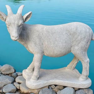 Standing Pygmy Goat Sculpture, Extra Large Goat Figurine, Cement ...