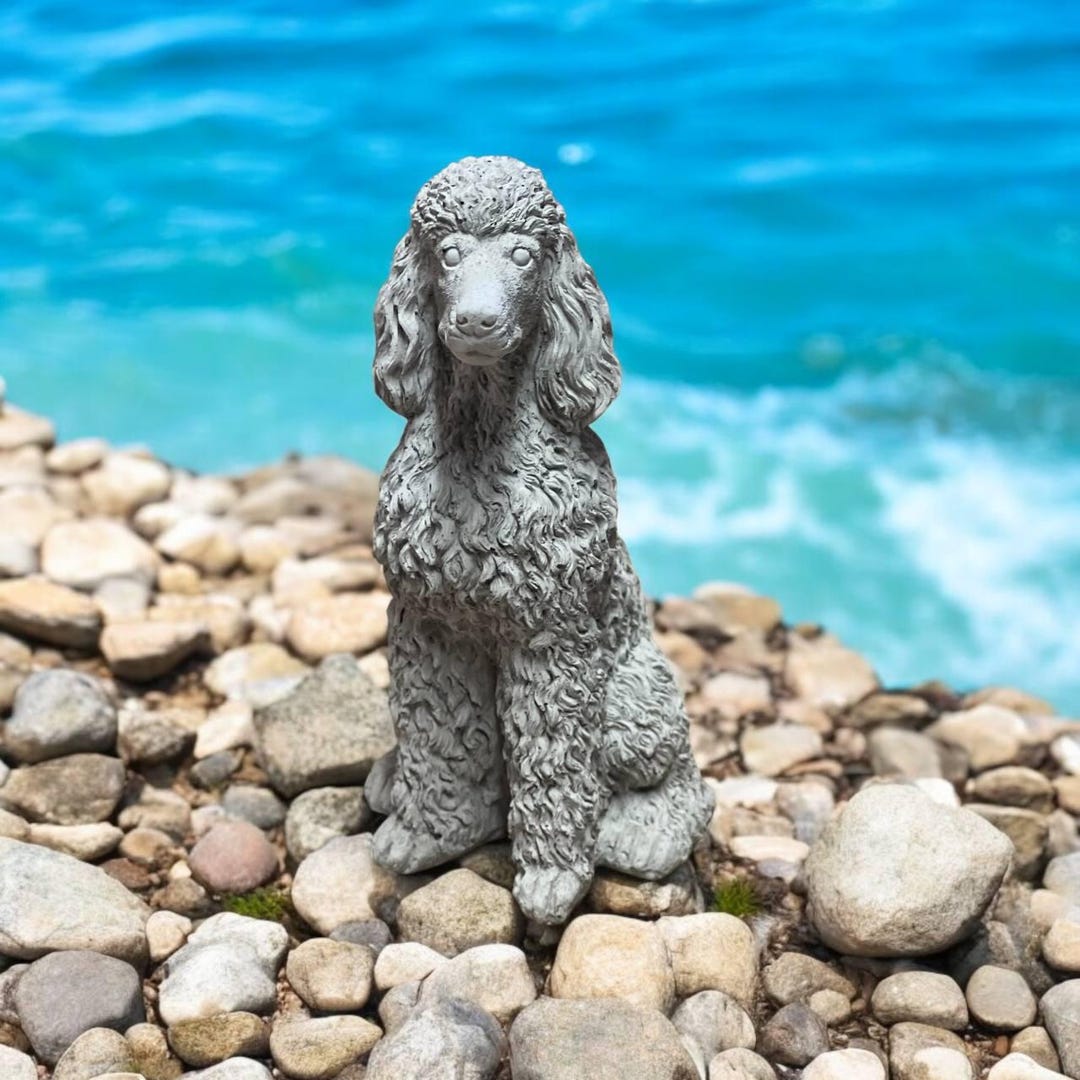 Sitting Poodle Statue, Concrete Poodle Dog Figure, Outdoor Garden Pet ...