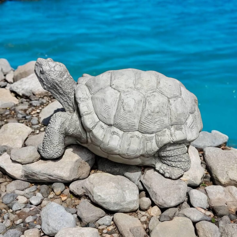 Large Turtle Box Statue, Massive Turtle Box Sculpture, Detailed ...
