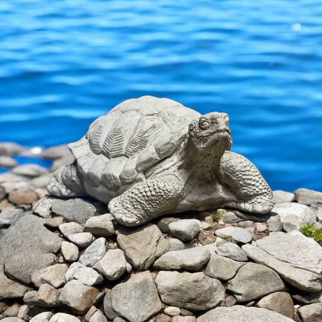 Large Turtle Box Statue, Massive Turtle Box Sculpture, Detailed ...