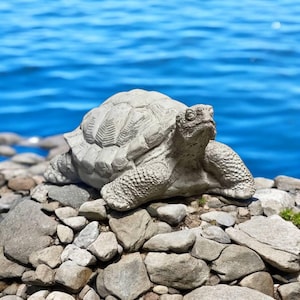 Large Turtle Box Statue, Massive Turtle Box Sculpture, Detailed ...