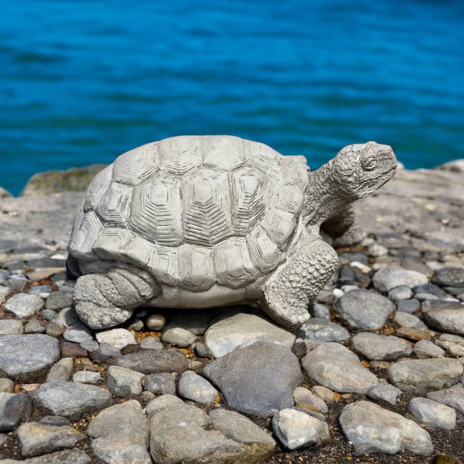 Large Turtle Box Statue, Massive Turtle Box Sculpture, Detailed ...