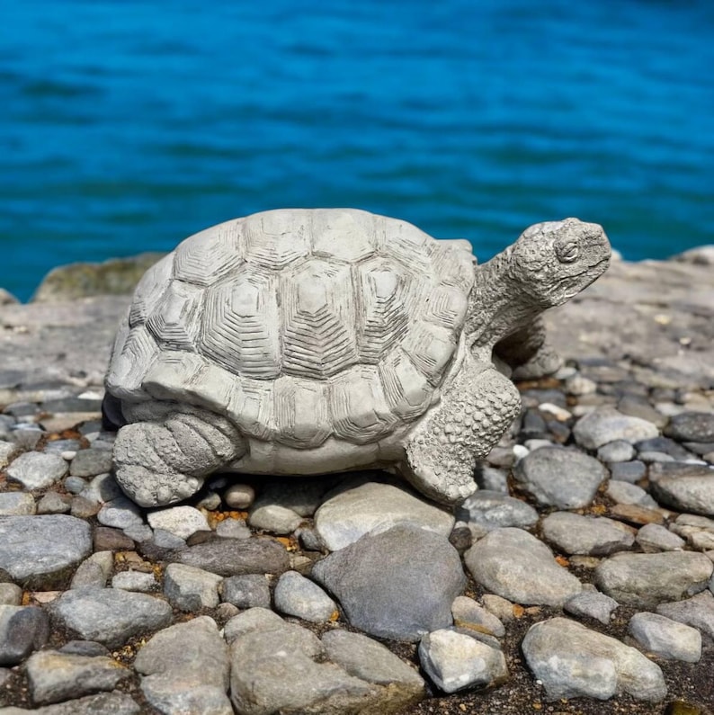 Large Turtle Box Statue, Massive Turtle Box Sculpture, Detailed ...