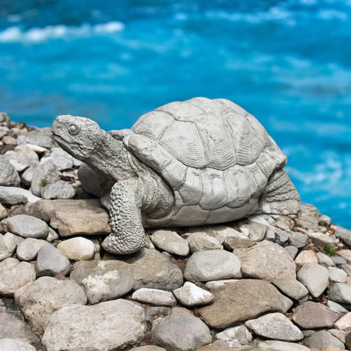 Large Turtle Box Statue, Massive Turtle Box Sculpture, Detailed ...