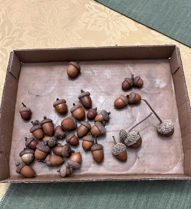 Set of 25 Mixed Sizes. All Have Been Washed, Heat Dried and Matte ...