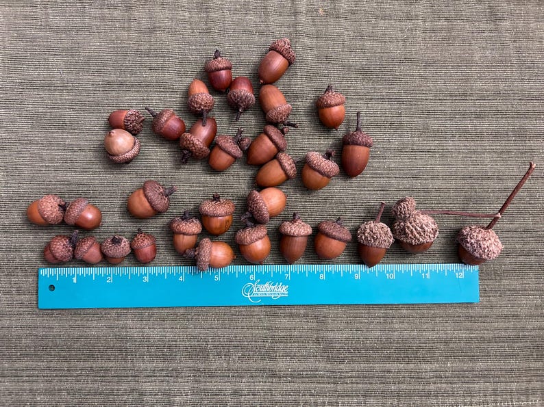 Set of 25 Mixed Sizes. All Have Been Washed, Heat Dried and Matte ...