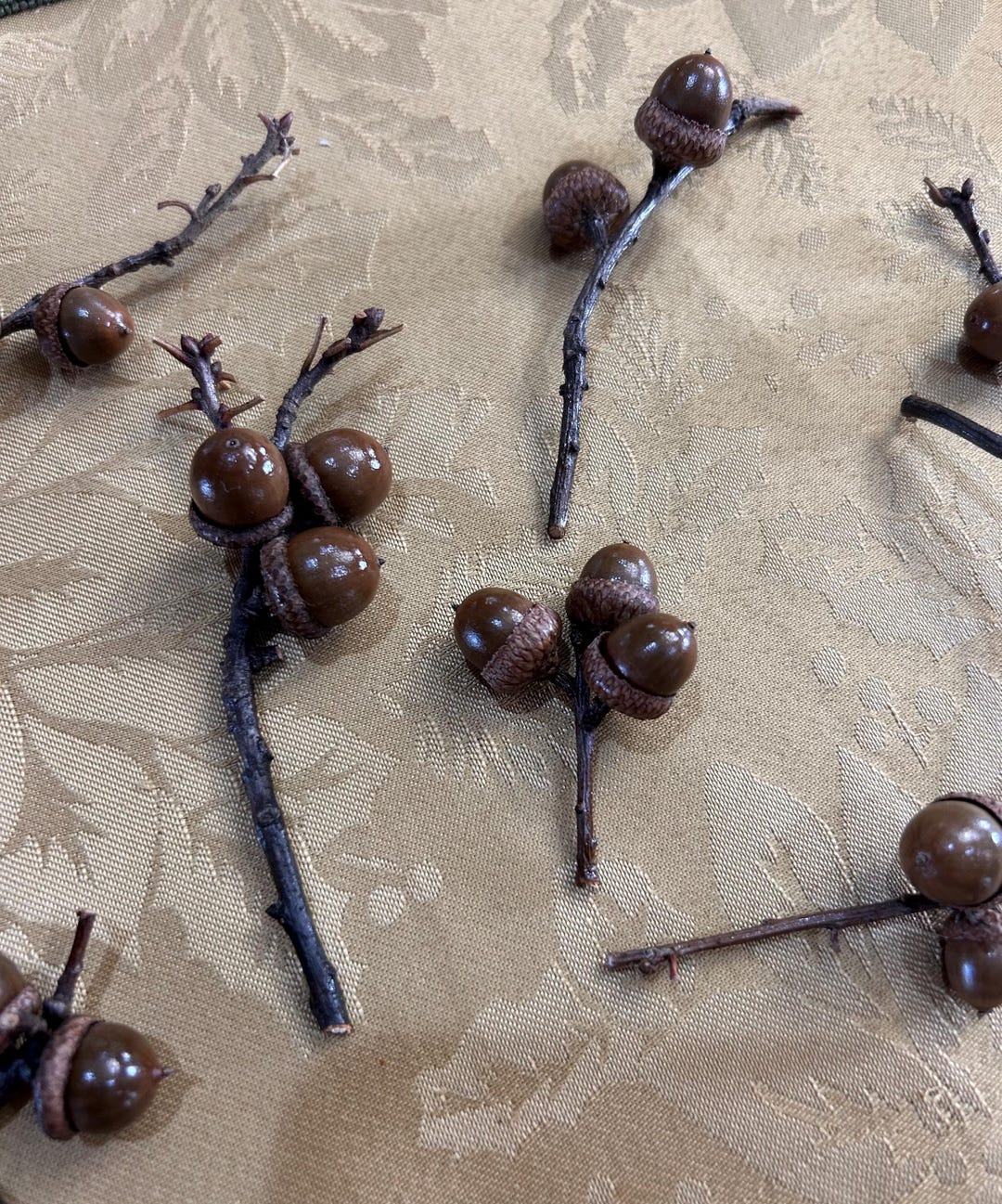 Miniature Chinkapin Acorn Stems, Natural Fall Decor, Set of 7 - Etsy