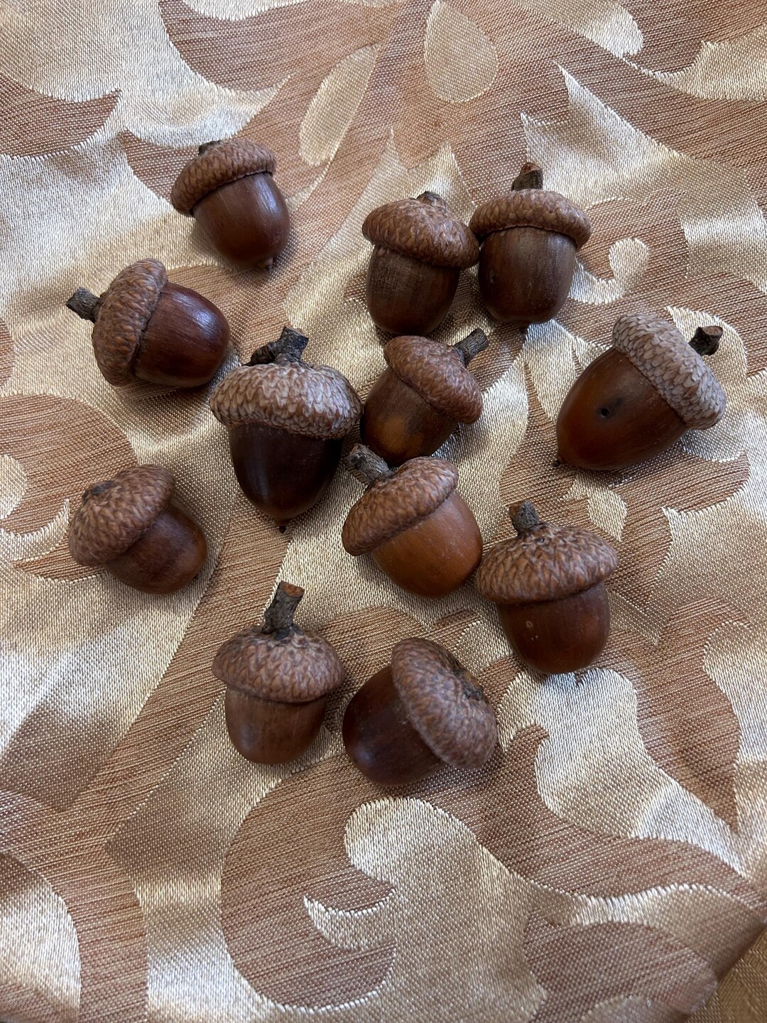 Natural Acorn Set: Hand Washed, Heat Dried, Polished - Etsy