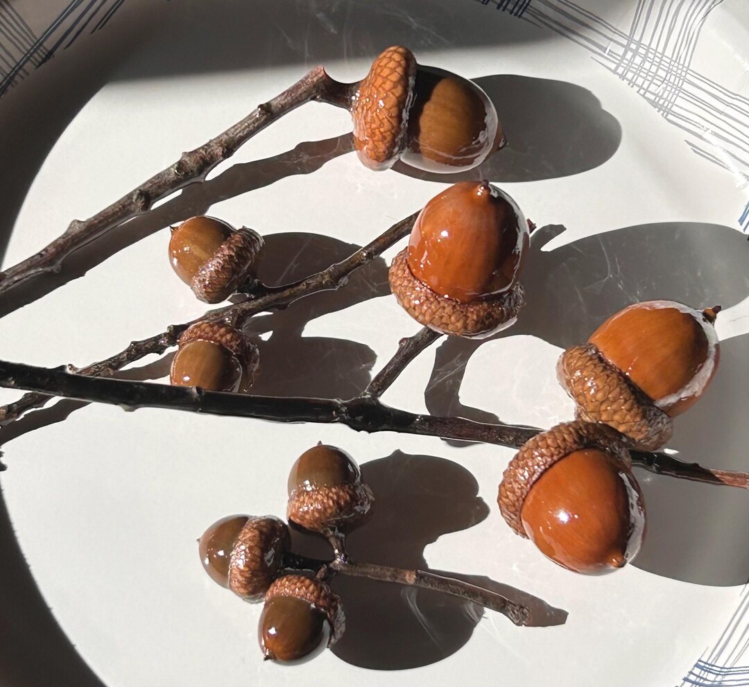 Resin Coated Acorn Branch Stems, Fall Craft Supplies, Set of 4 - Etsy