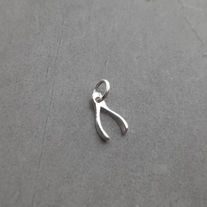 Wishbone Keychain - Etsy