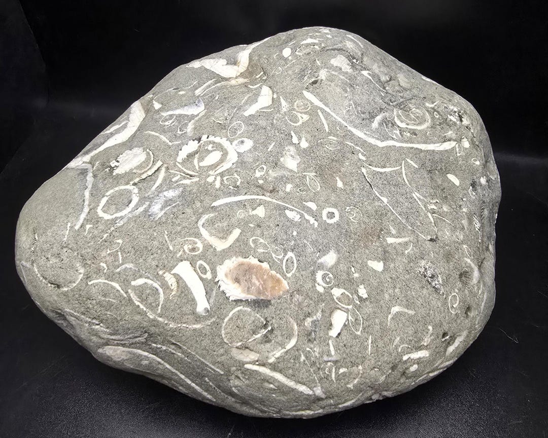 XXL UV Reactive Calligraphy Stone/script Stone Fossil - Etsy