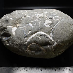 XXL UV Reactive Calligraphy Stone/script Stone Fossil - Etsy