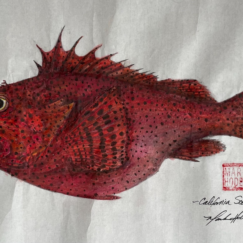 Gyotaku Fish Print - Etsy