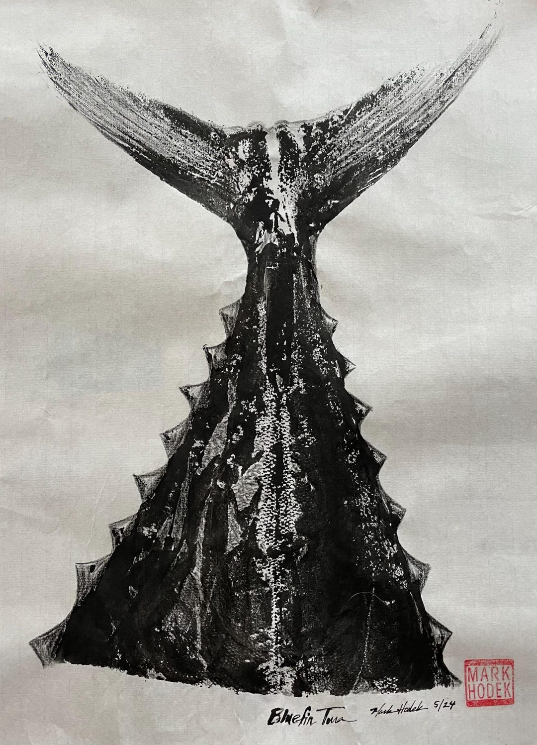 Original Gyotaku Print Bluefin Bluefin Tuna Tail - Etsy