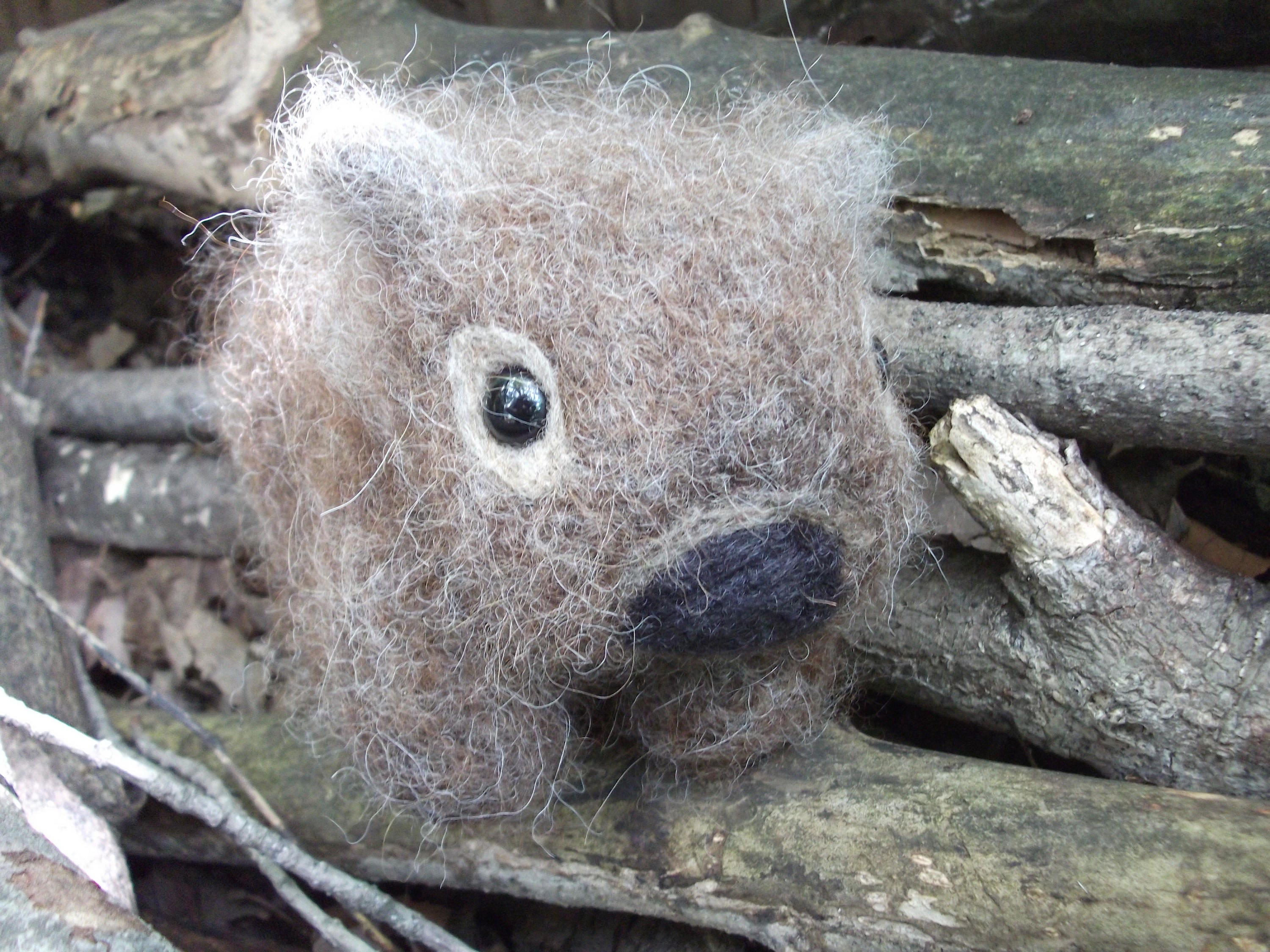 Wombat Stuffed Animal Plush Australian Animal Marsupial - Etsy