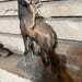 Realistic Elk Figurine: Hunter Gift, Ready to Paint or Finished - Etsy