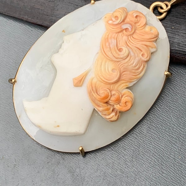 Shell Cameo - Etsy