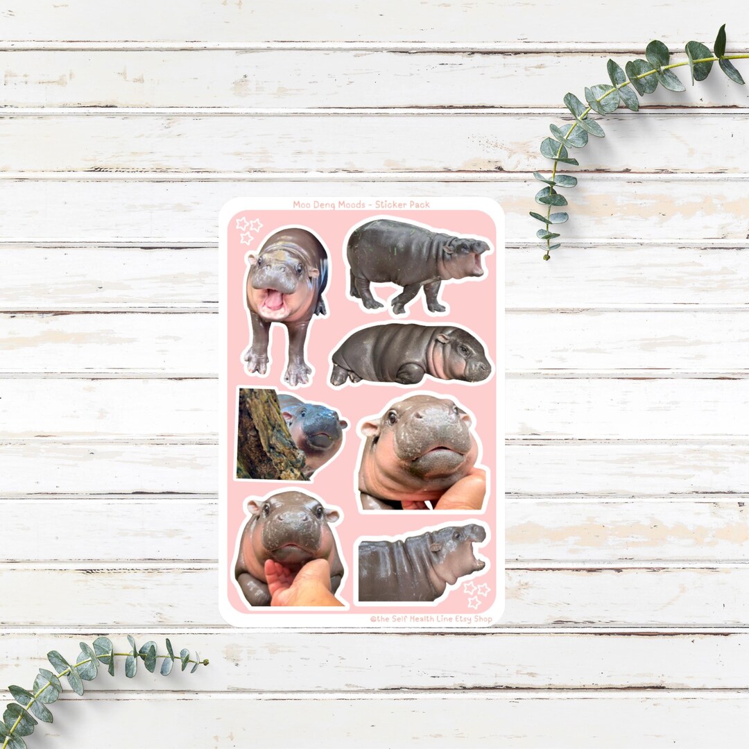 Moo Deng Sticker, Flare Day Mood Holographic Sticker Sheet, Moo Deng ...
