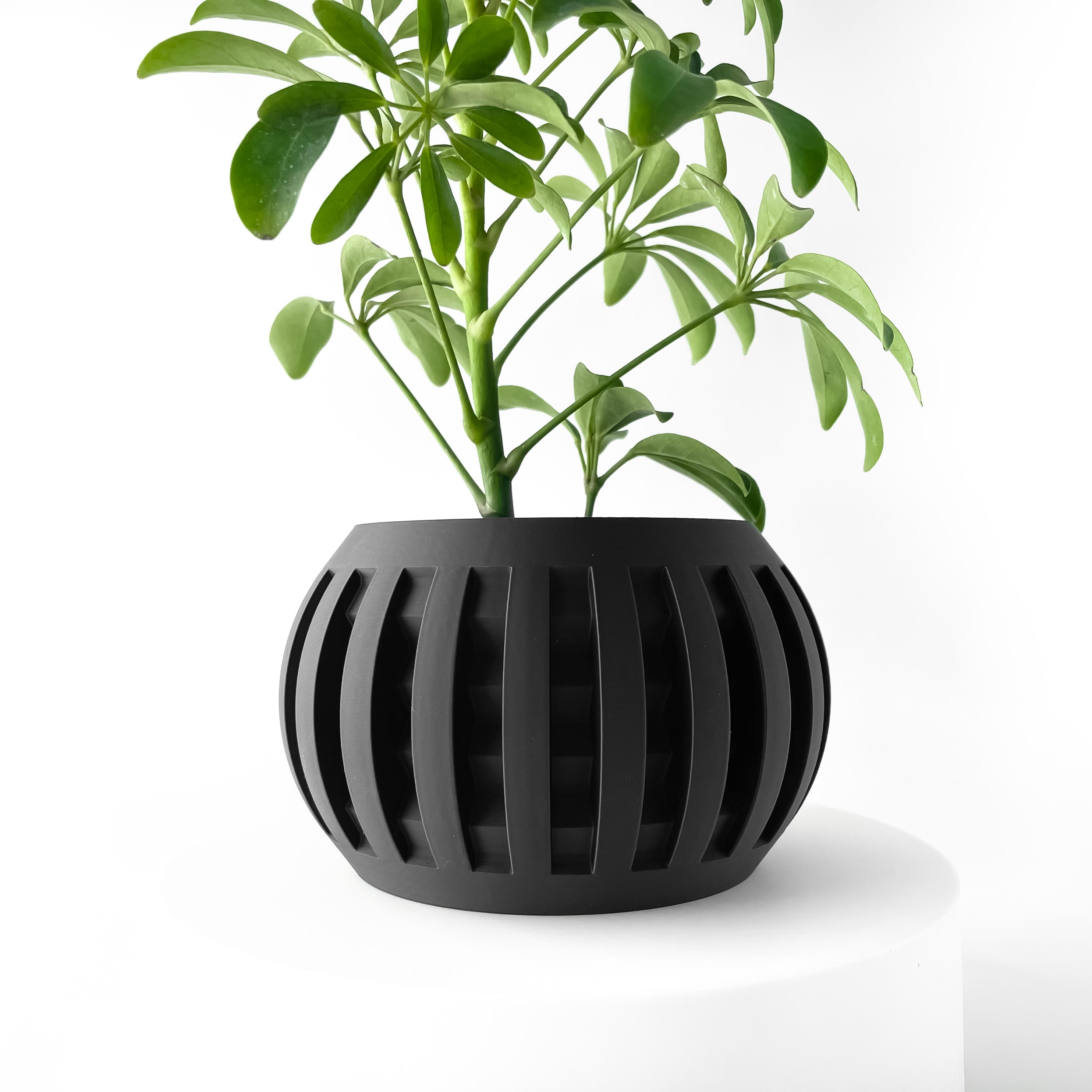 Modern Amanda Planter Pot, Unique Succulent Planter, Minimalist Plant ...
