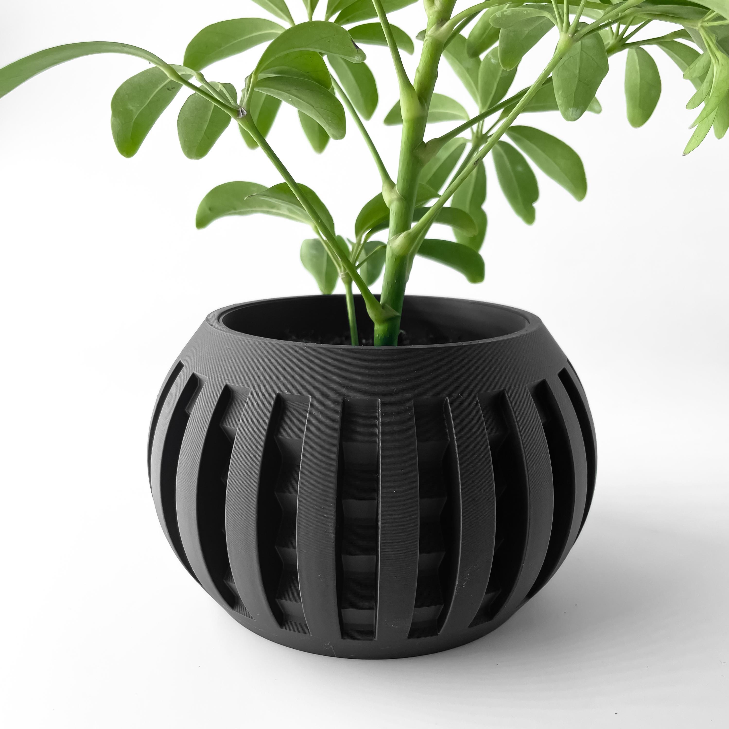 Modern Amanda Planter Pot, Unique Succulent Planter, Minimalist Plant ...