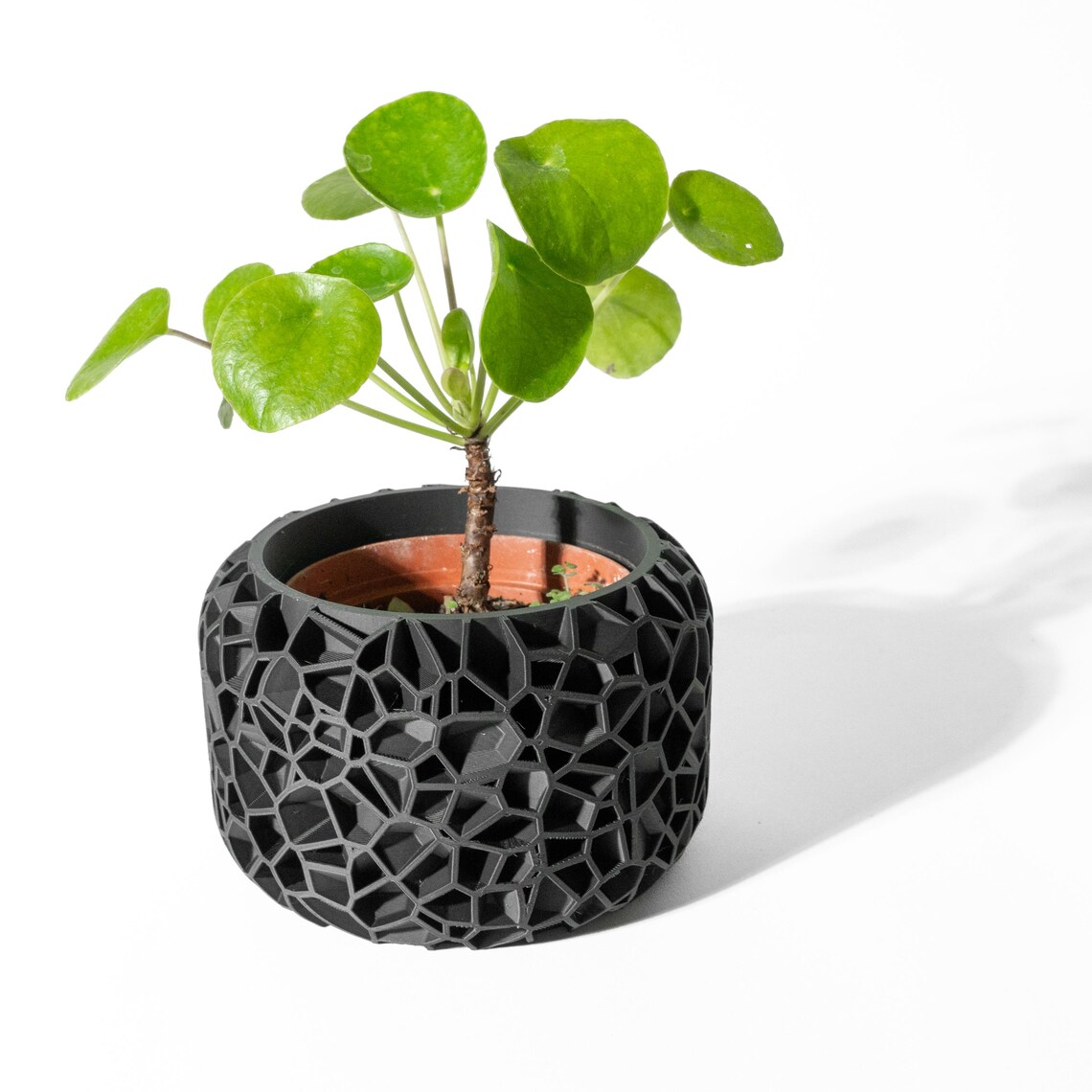 Modern Vori Planter Pot, Unique Succulent Planter, Minimalist Plant Pot ...