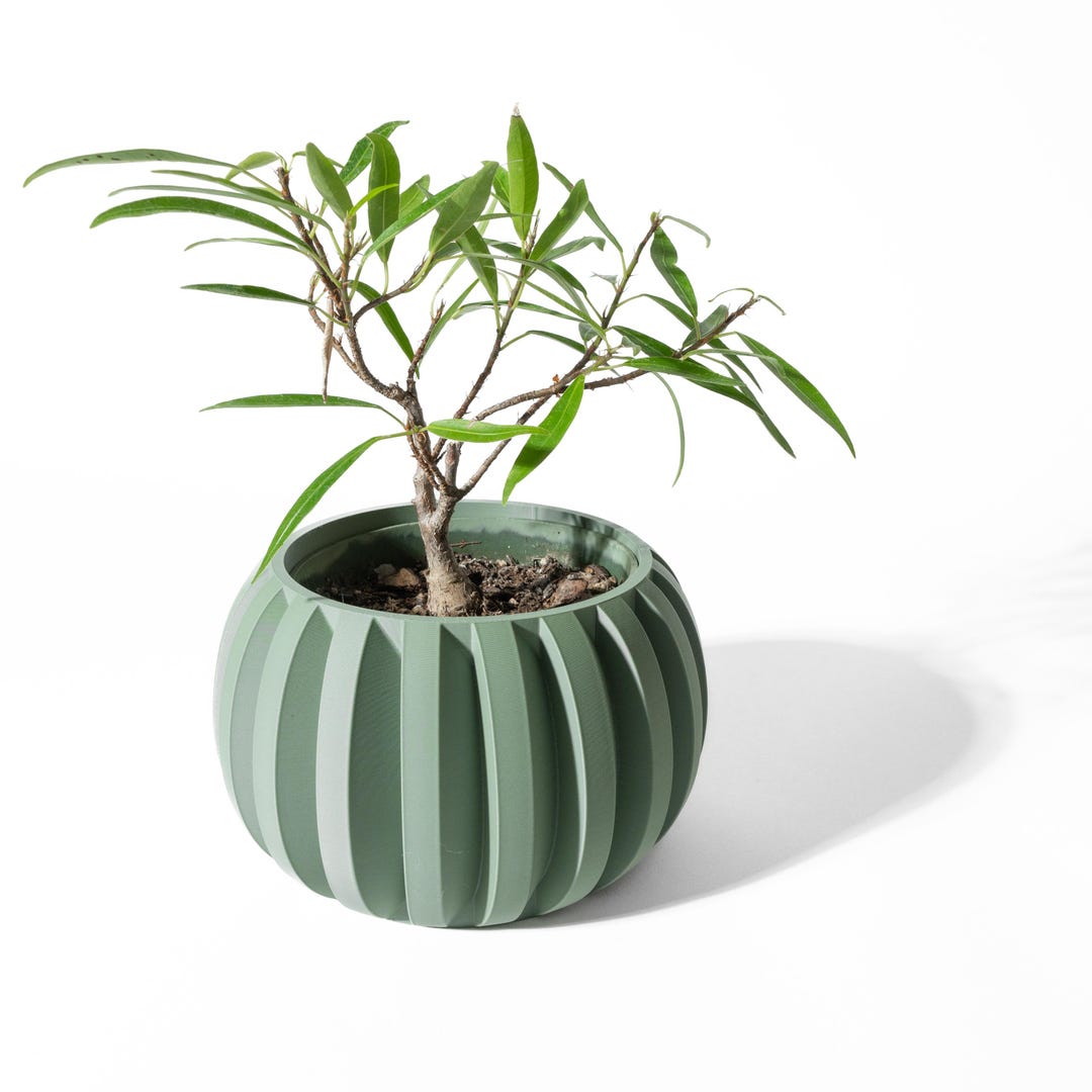 Modern Jone Planter Pot, Unique Succulent Planter, Minimalist Plant Pot ...
