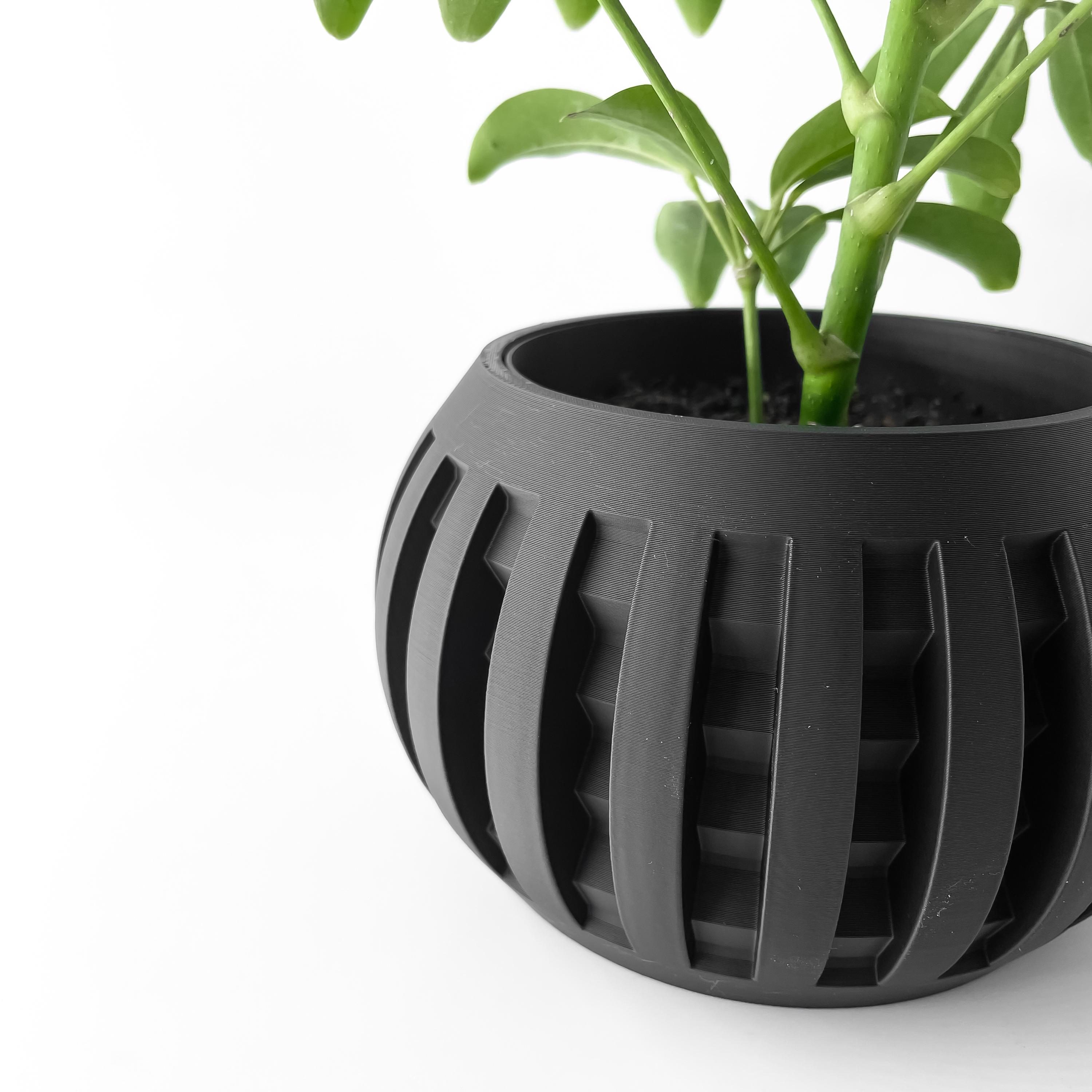 Modern Amanda Planter Pot, Unique Succulent Planter, Minimalist Plant ...