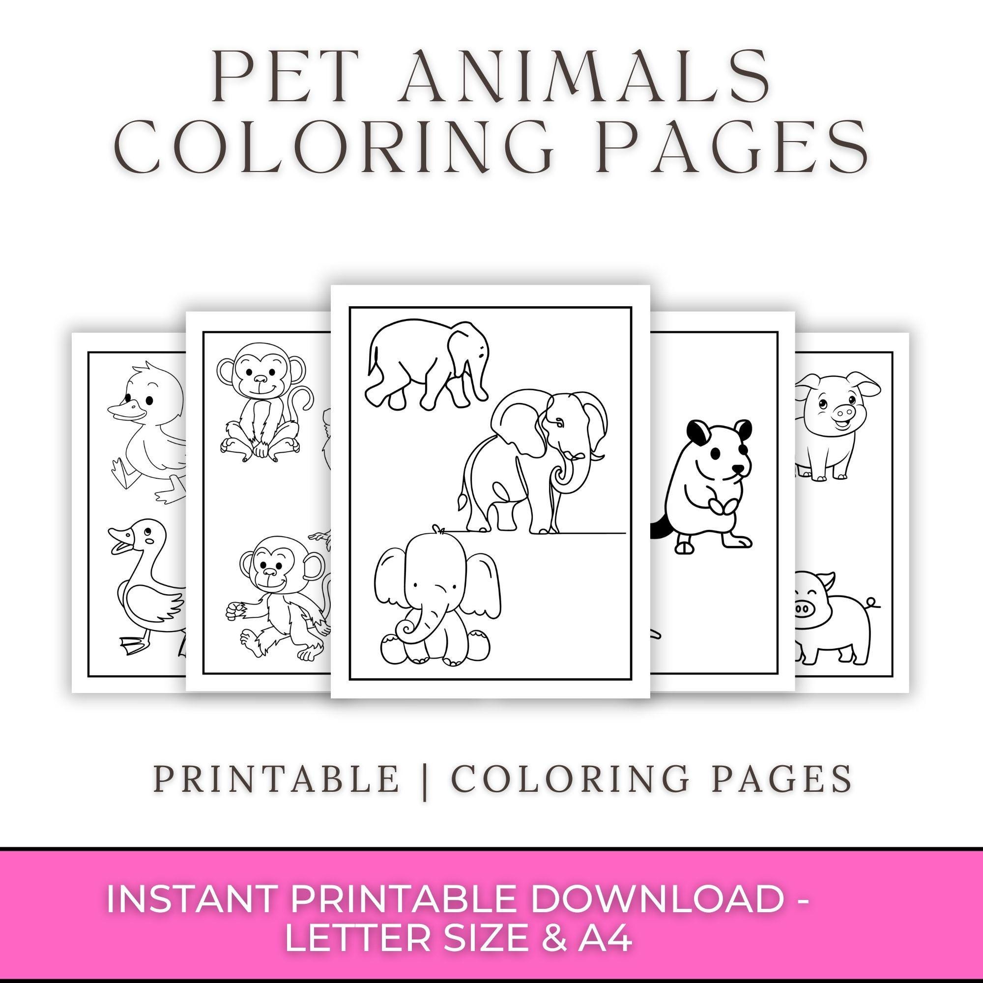 Pet Animals Coloring Pages for Kids | Pet Animals Coloring Pages | Kids ...