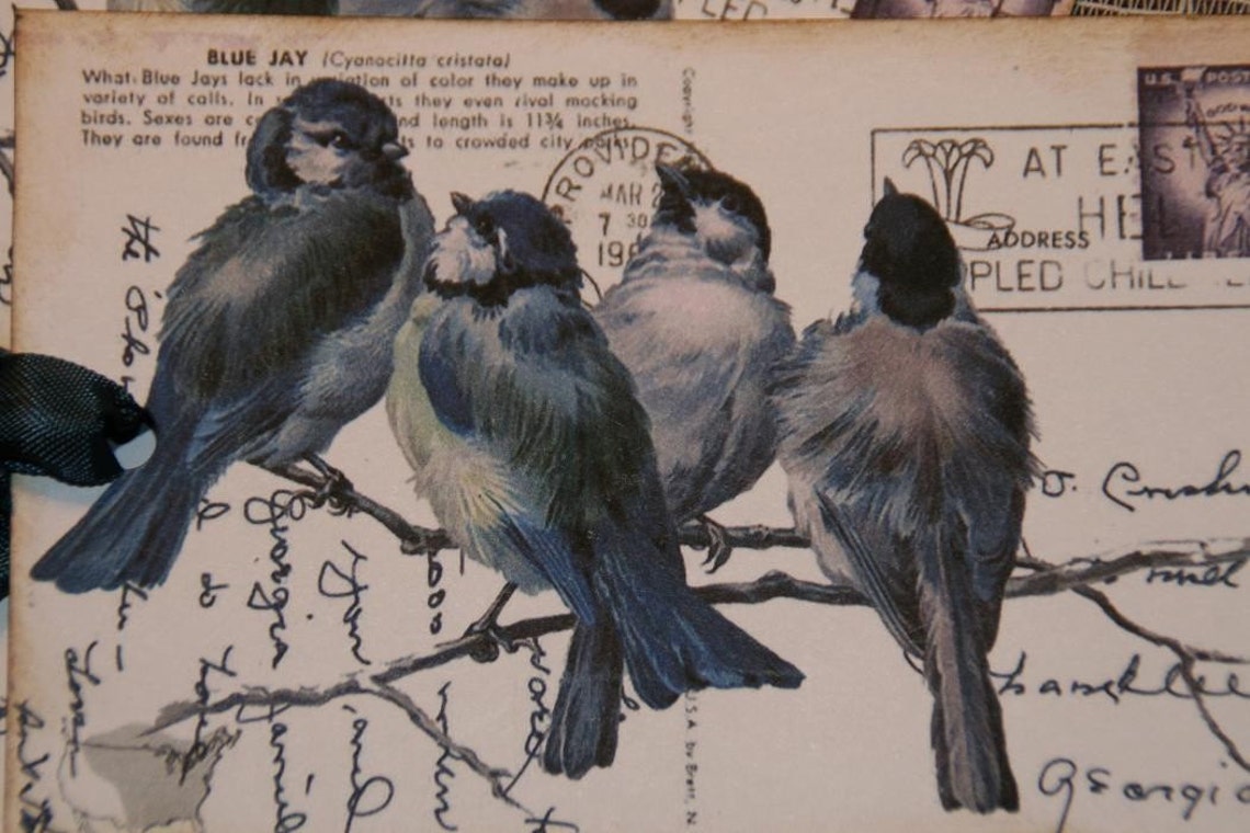 Birds on A Branch Vintage Post Card Gift Tags - Etsy