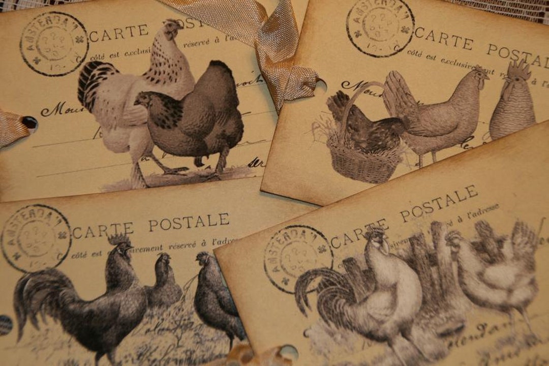 Roosters and Chickens Vintage Postcards Tags - Etsy