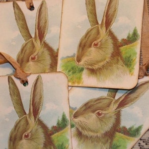 Bunny Rabbit Gift Tags - Etsy