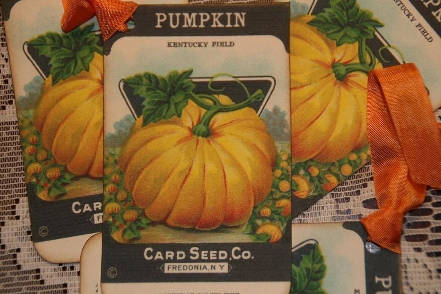 Pumpkin Vintage Seed Packet Gift Tags - Etsy