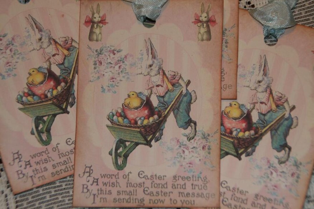 Peter Rabbit Bunny Pushing Cart Gift Tags - Etsy