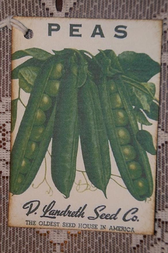 Sweet PEAS Gift Tags - Etsy