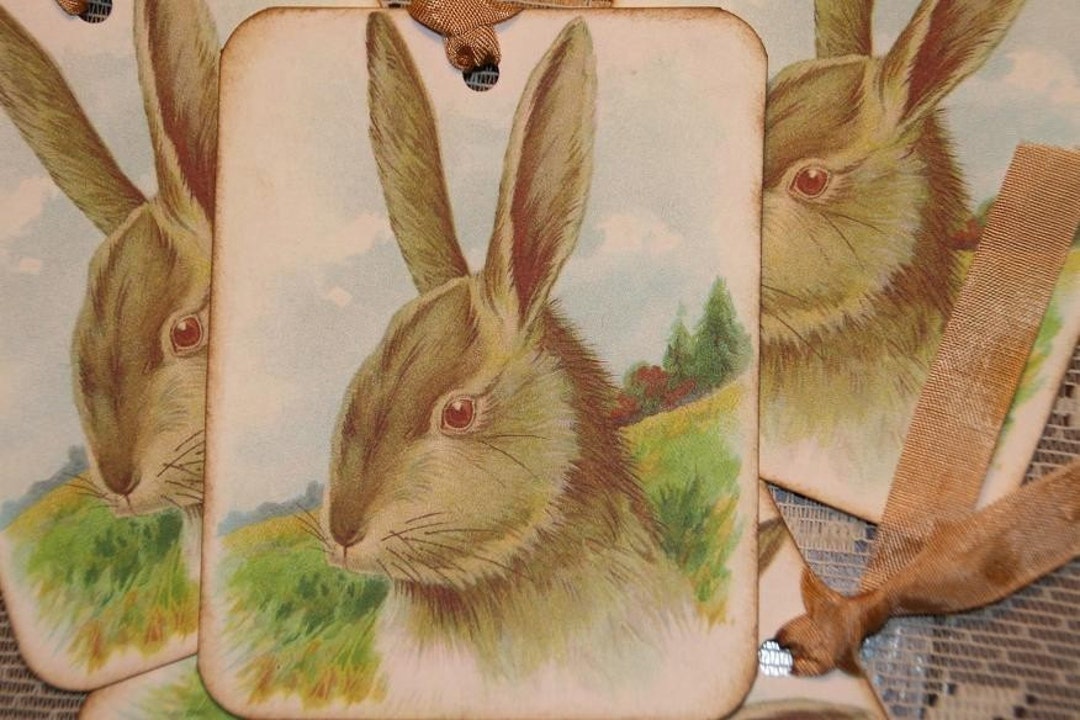 Bunny Rabbit Gift Tags - Etsy