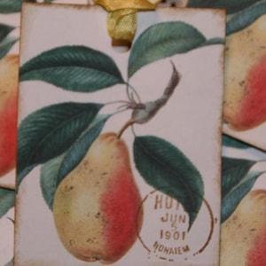 Pears Gift Tags - Etsy