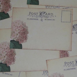 50 Pink Hydrangea Vintage Post Card Wedding Place Card or Wedding ...