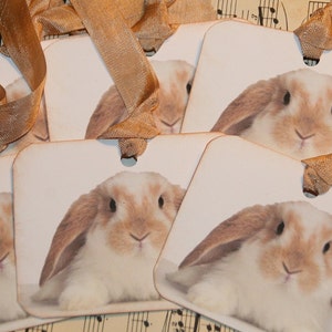 Brown and White Bunny Tags - Etsy