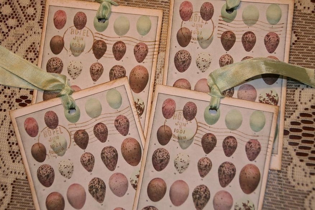 Egg Chart Gift Tags - Etsy