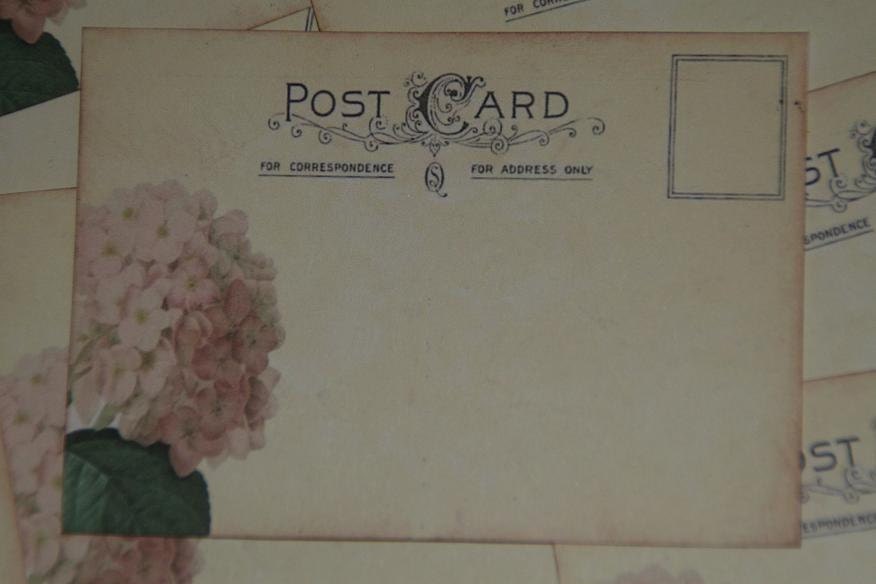 50 Pink Hydrangea Vintage Post Card Wedding Place Card or - Etsy