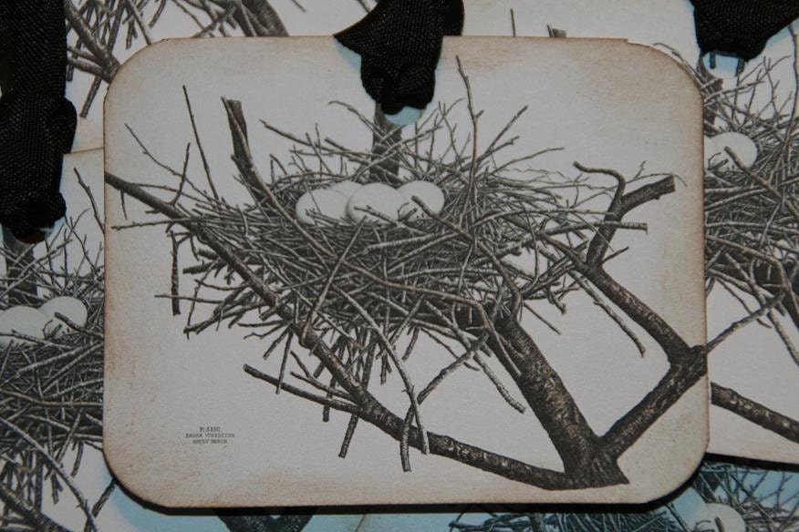 Vintage Bird Nest Tags - Etsy