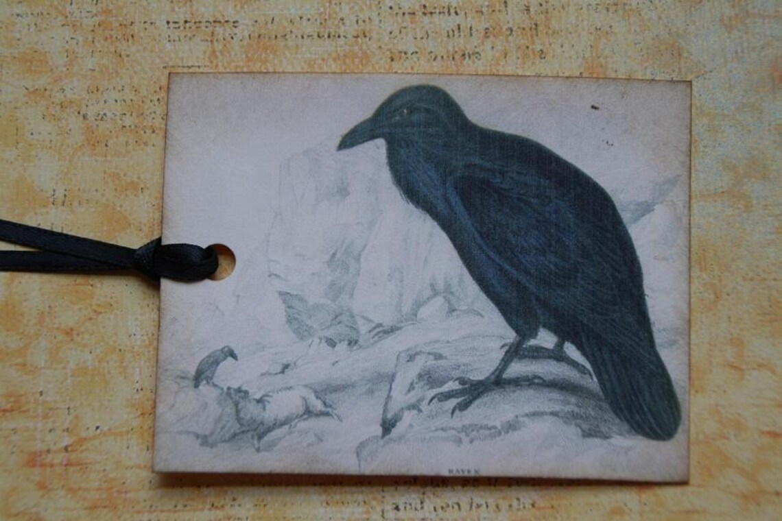 Black Crow Raven Tags - Etsy