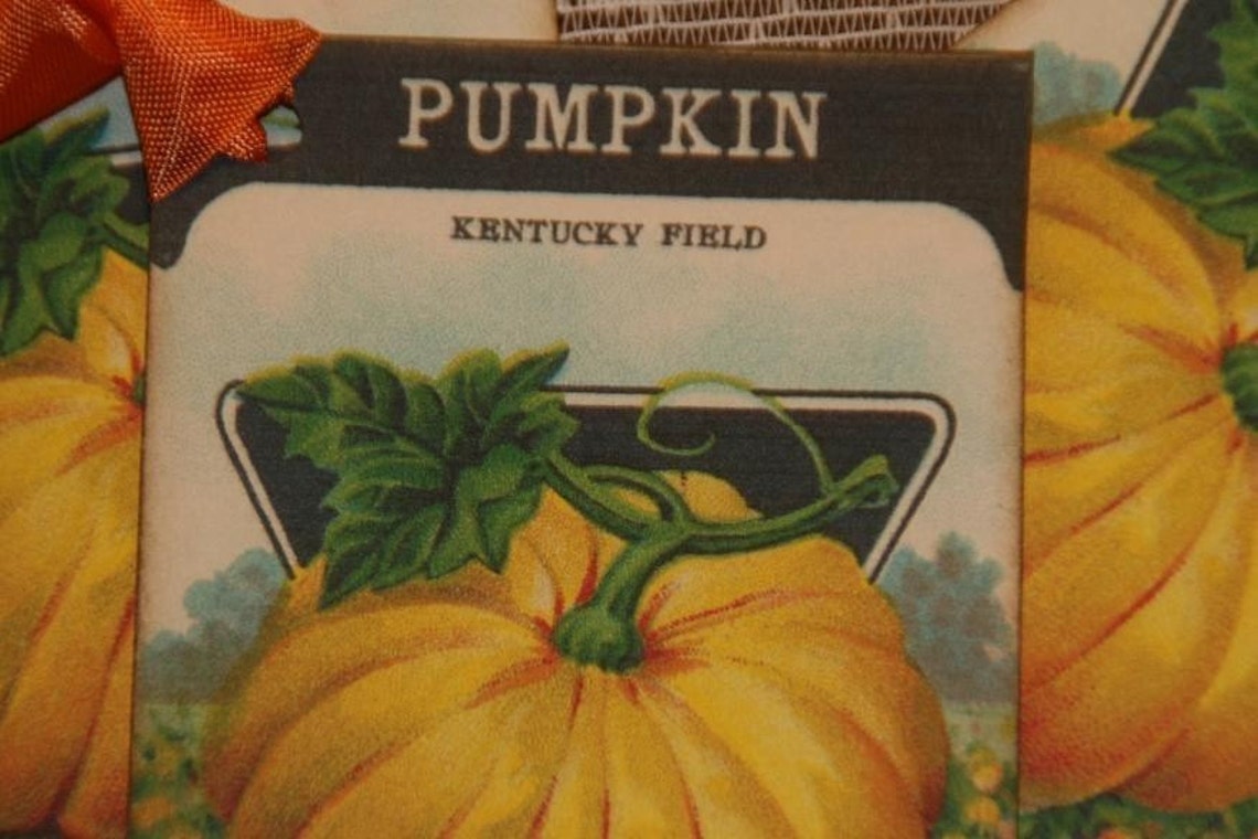 Pumpkin Vintage Seed Packet Gift Tags - Etsy