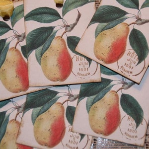 Pears Gift Tags - Etsy