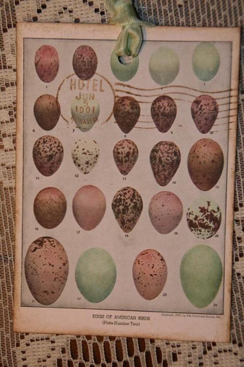 Egg Chart Gift Tags - Etsy